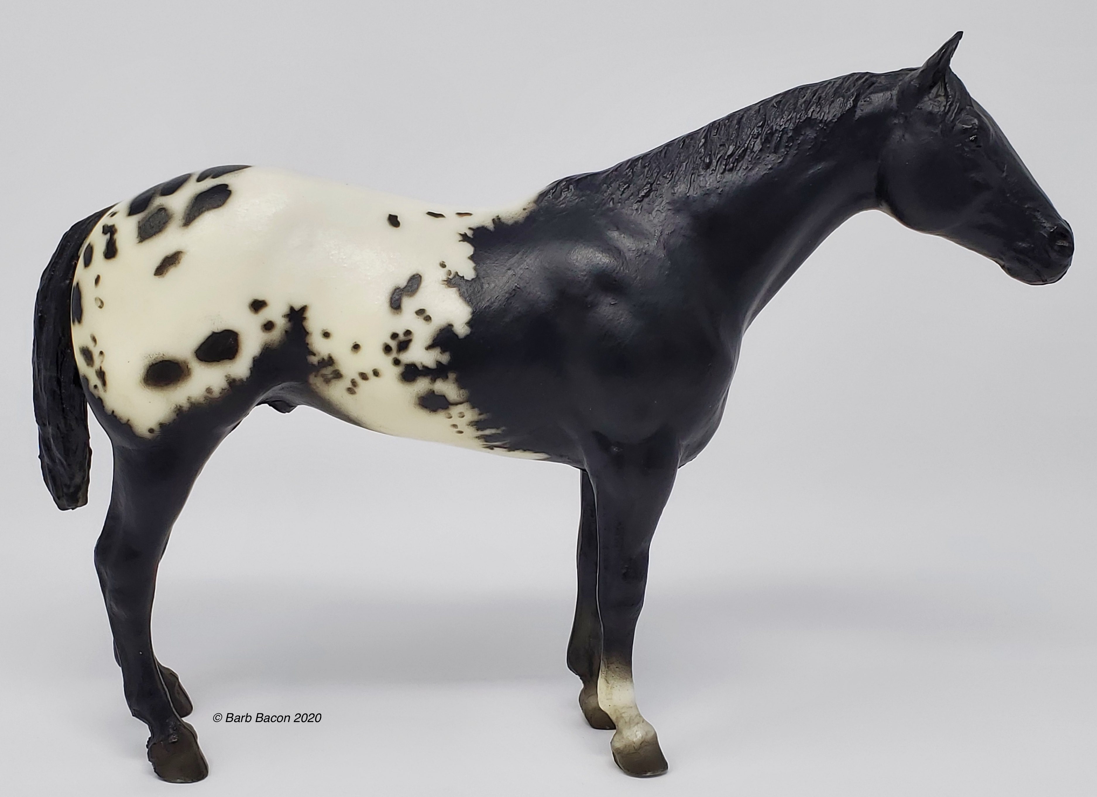 Stud Spider Appaloosa Stallion | BreyerHorseRef