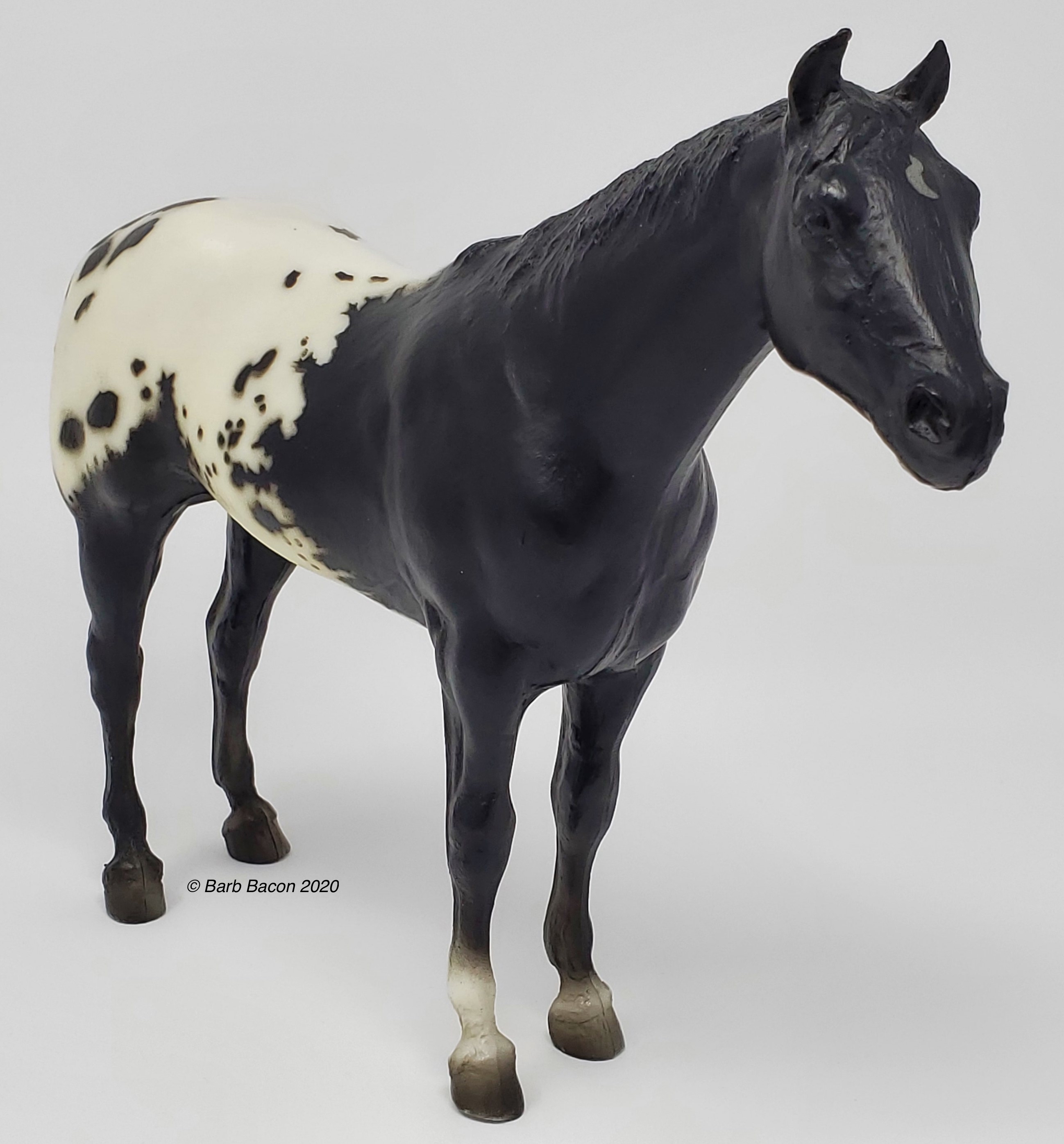 Stud Spider Appaloosa Stallion | BreyerHorseRef
