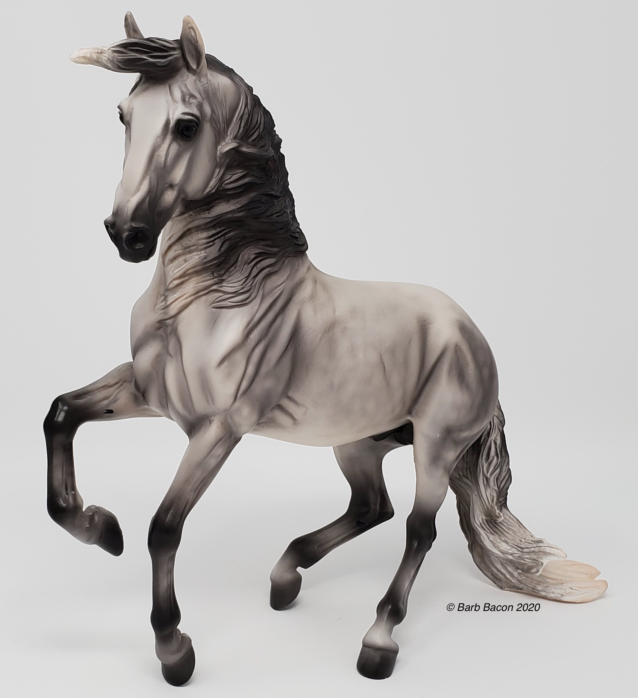 Alborozo | BreyerHorseRef