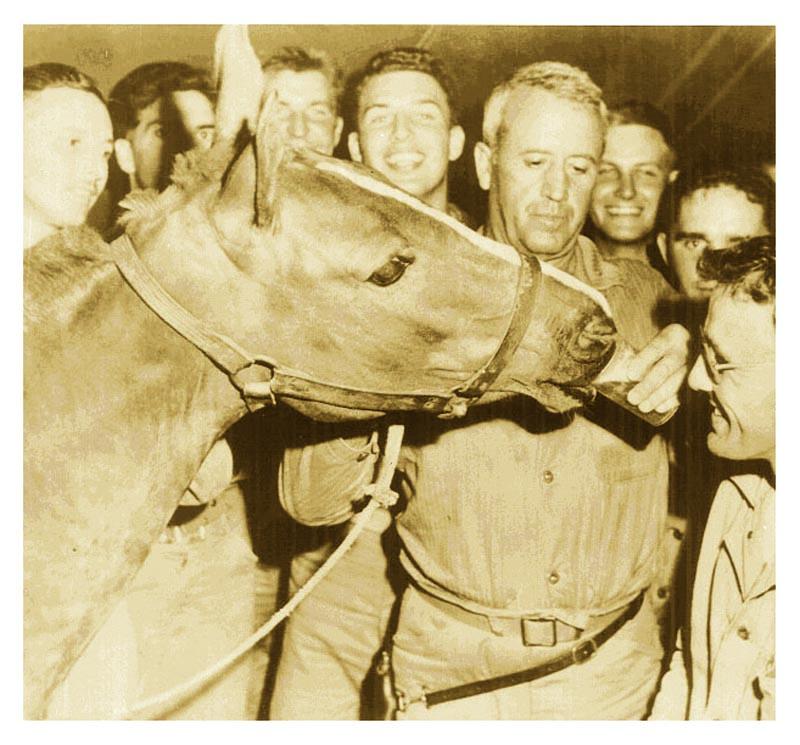 Sergeant Reckless | BreyerHorseRef