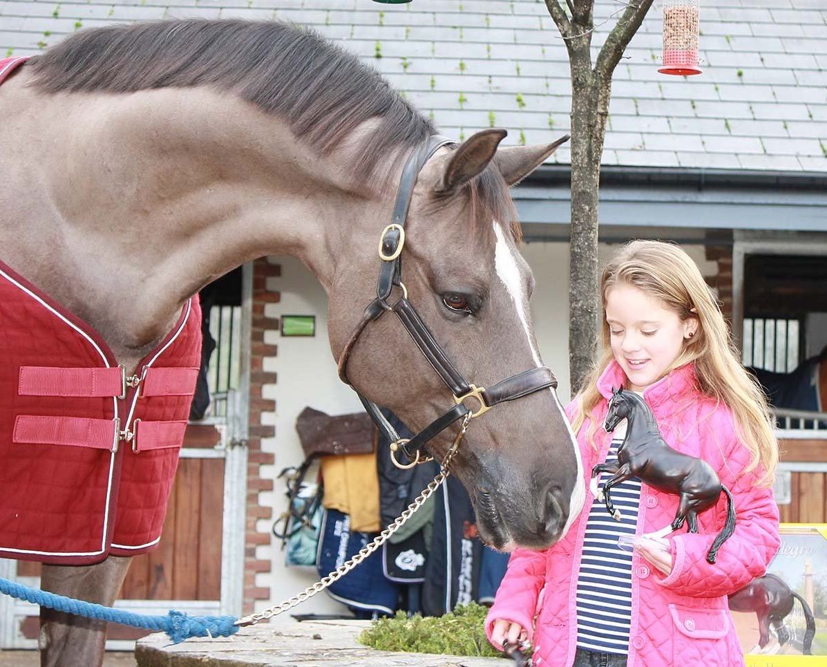 Valegro | BreyerHorseRef