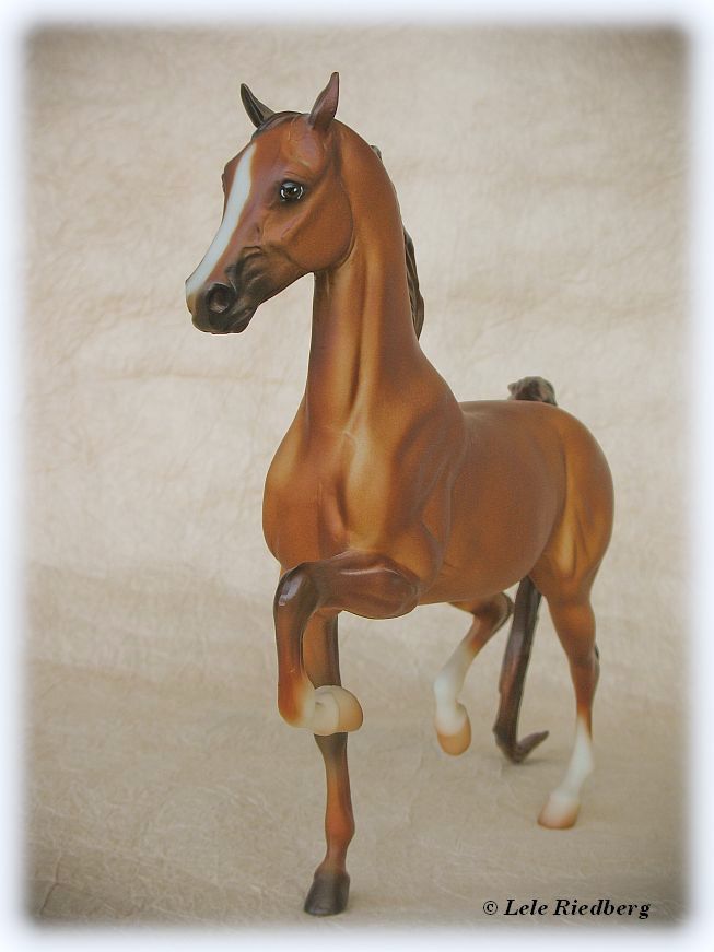Rejoice, National Show Horse | BreyerHorseRef