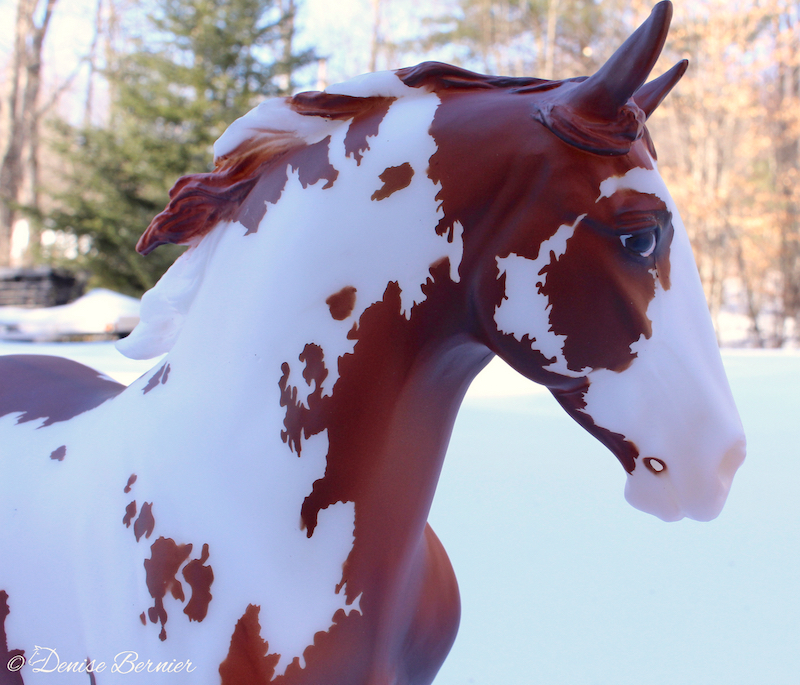 BHR Bryants Jake | BreyerHorseRef