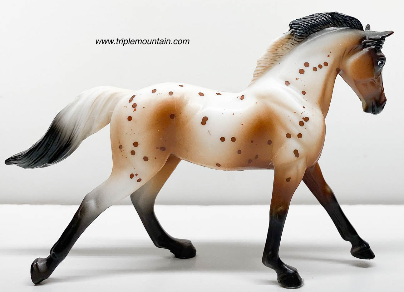 SM Cantering Warmblood: Bay Leopard Appaloosa - Various Sets ...