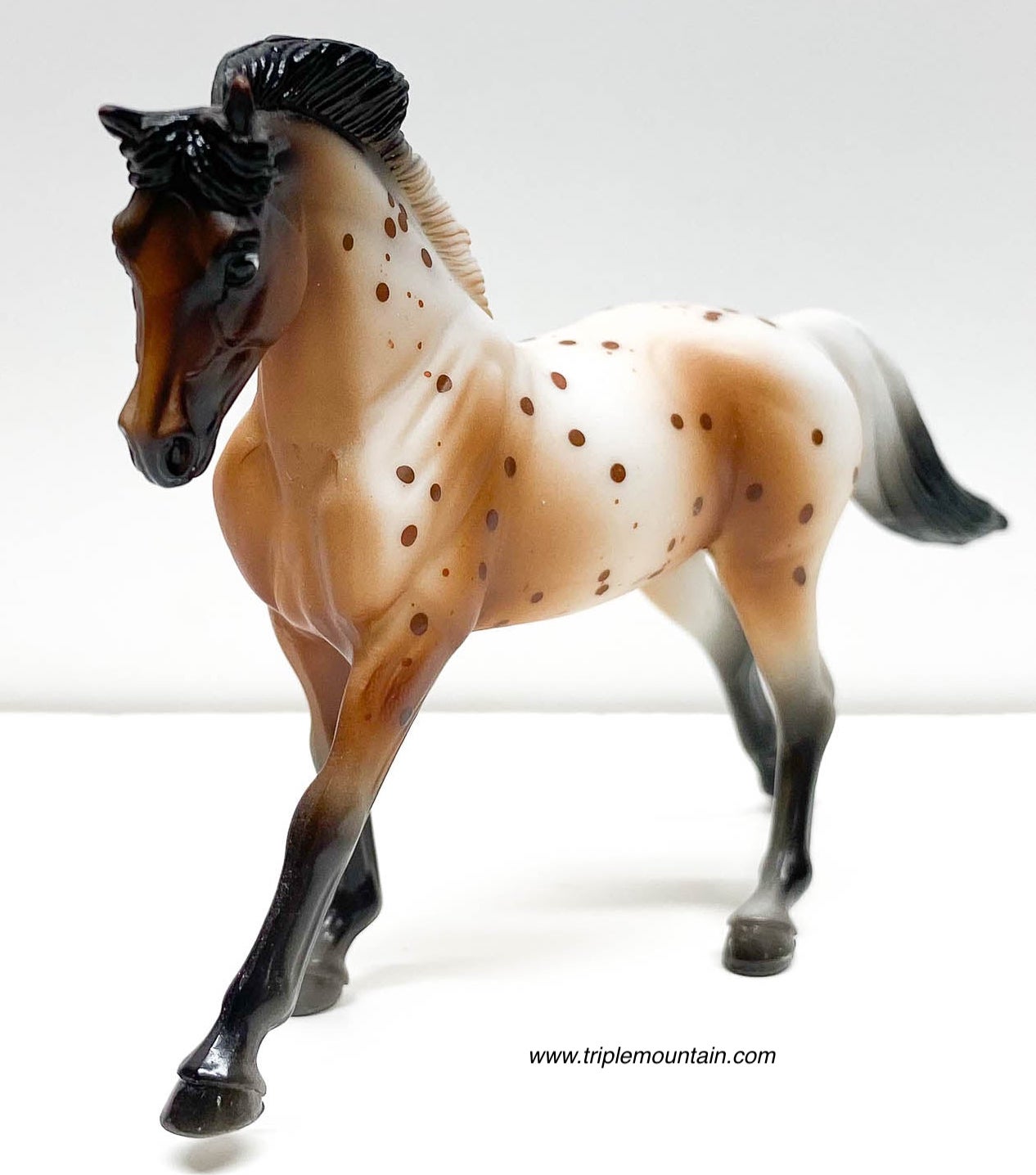 SM Cantering Warmblood: Bay Leopard Appaloosa - Various Sets ...