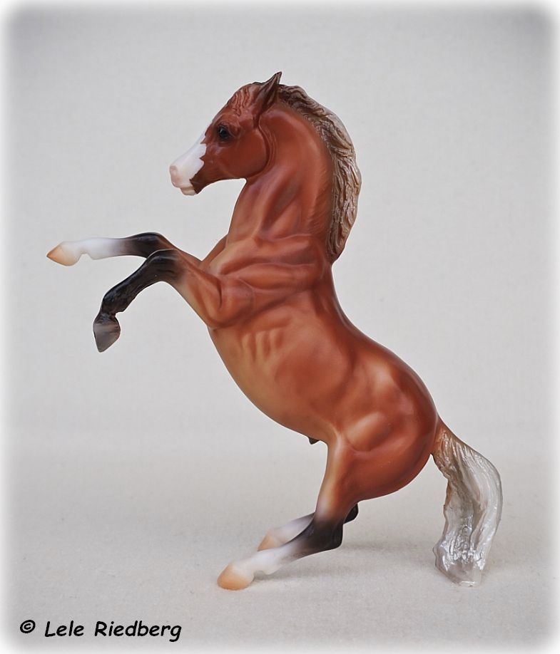 Silver Bay Mustang | BreyerHorseRef