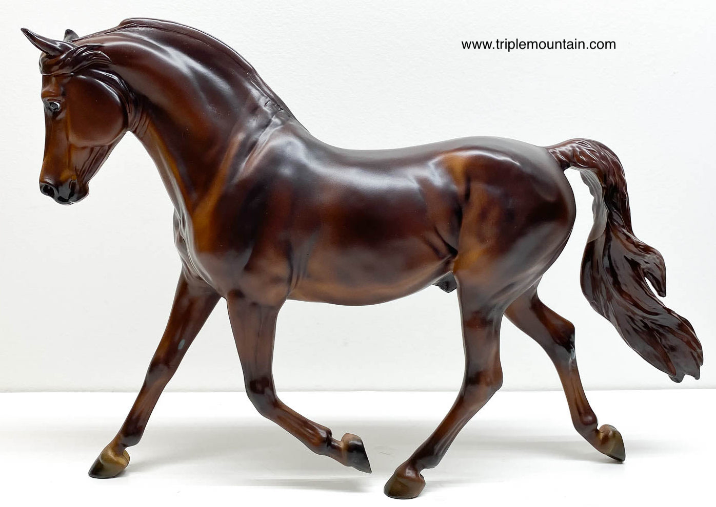 MorganQuest Native Sun | BreyerHorseRef