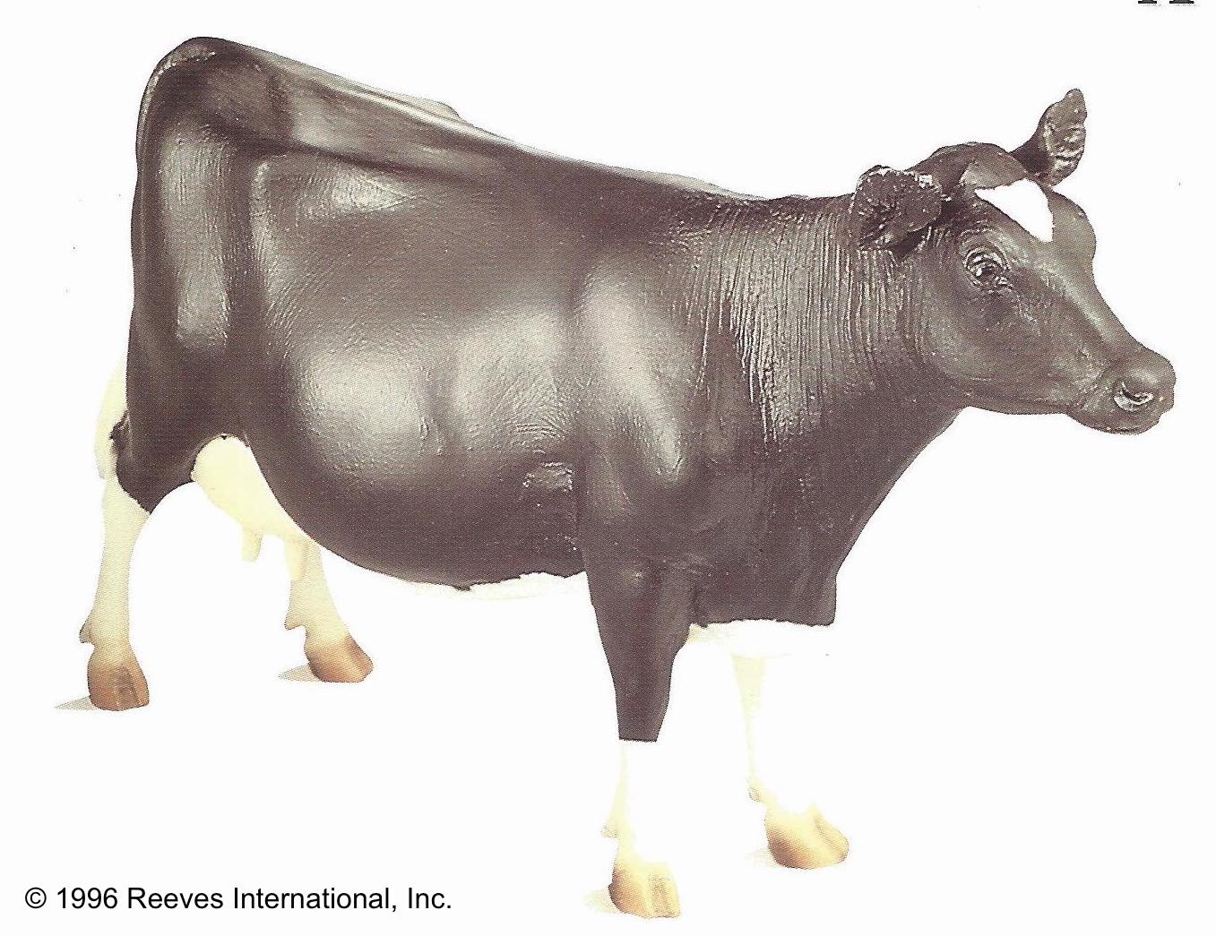 Holstein Cow - Black | BreyerHorseRef