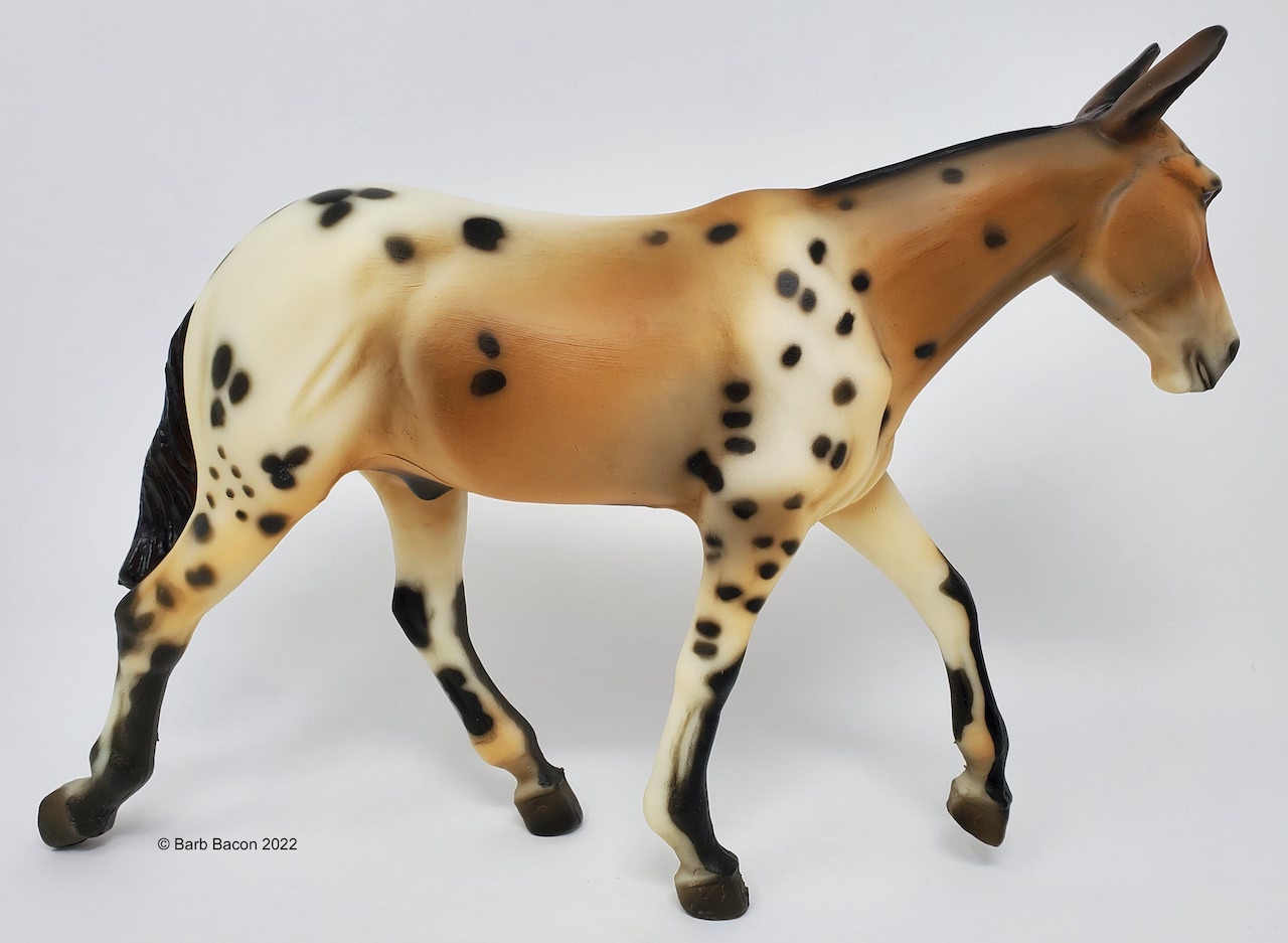Spotted Mule