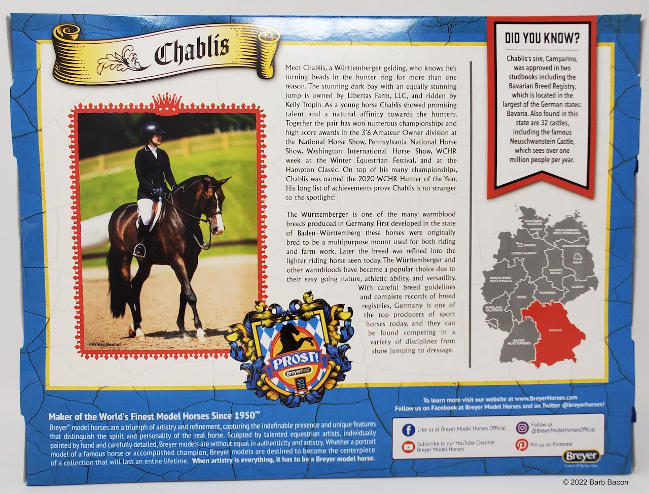 Chablis | BreyerHorseRef