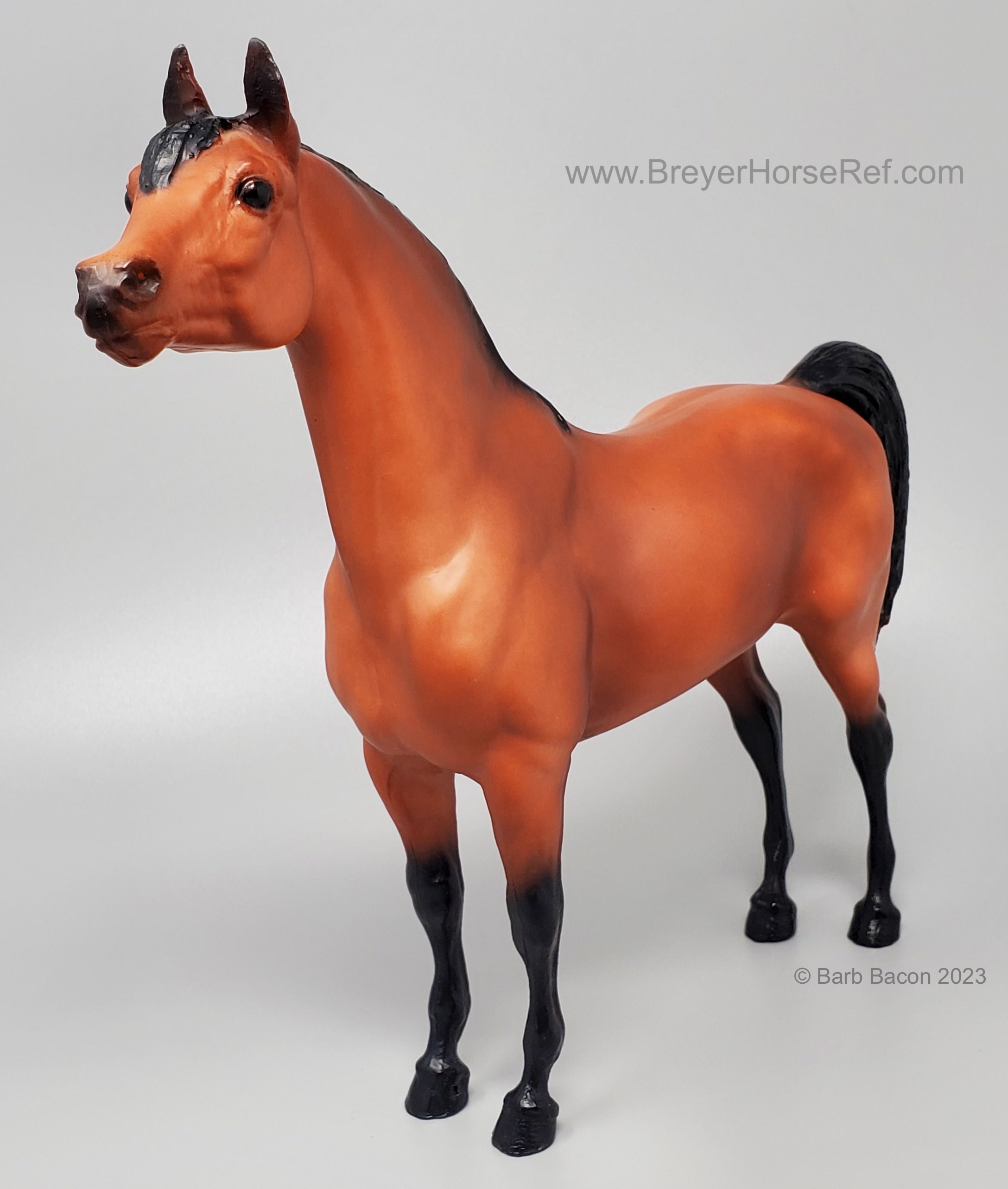 Proud Arabian Stallion: Blood Bay BHR | BreyerHorseRef
