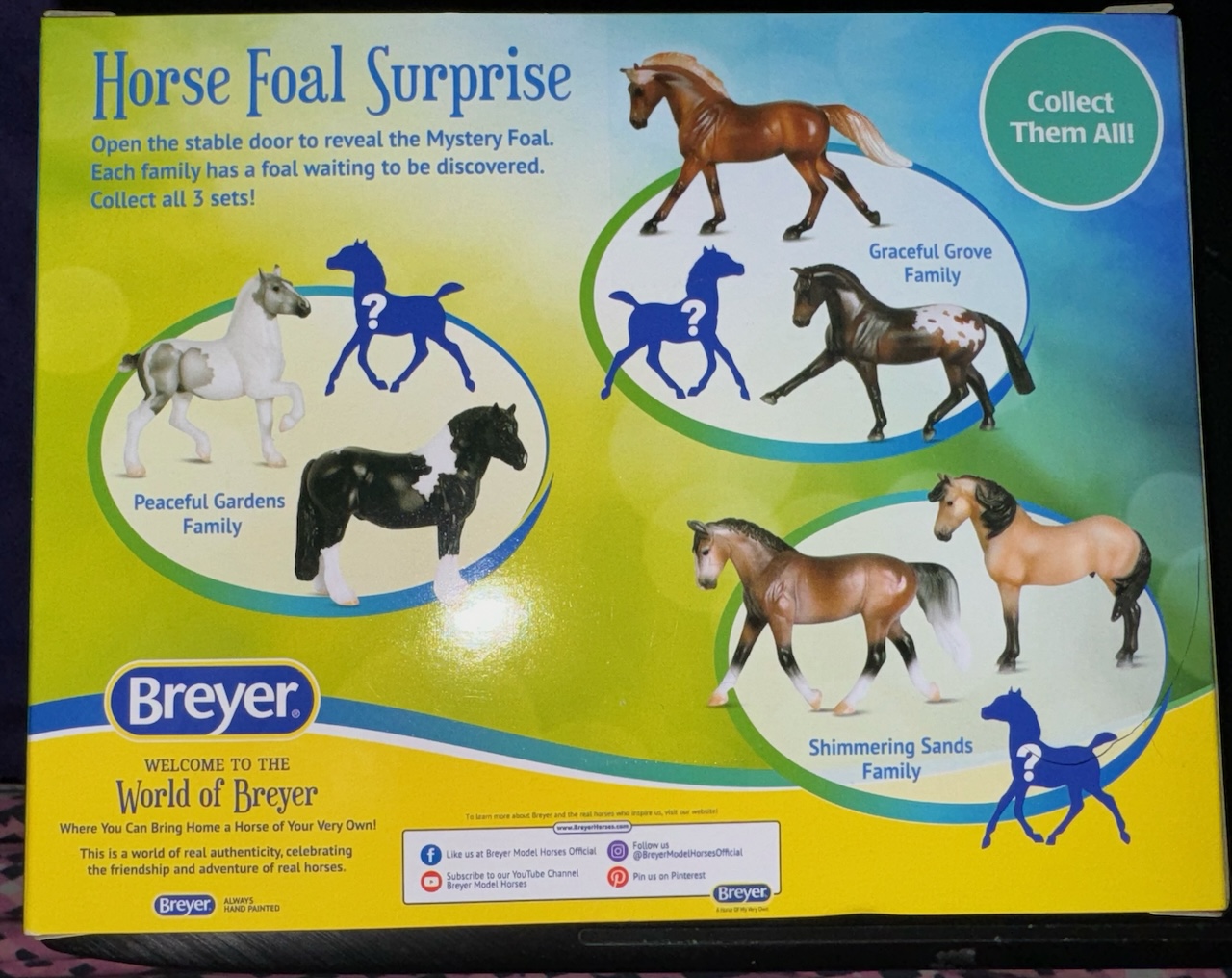 SM Cantering Foal: Flaxen Chestnut Appaloosa - Graceful Grove Family ...
