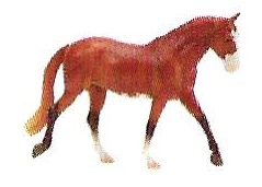 SM Irish Draught: Chestnut Pinto - Surprise Series 7 | BreyerHorseRef
