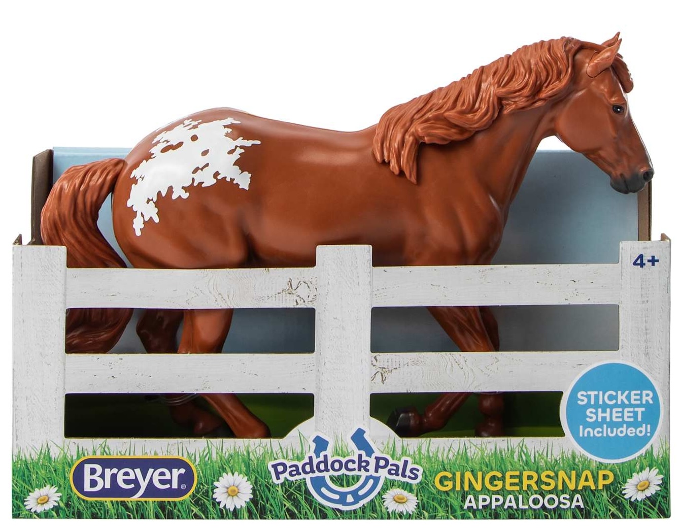 PP Latigo Loping Quarter Horse: Chestnut Appaloosa - Gingersnap ...
