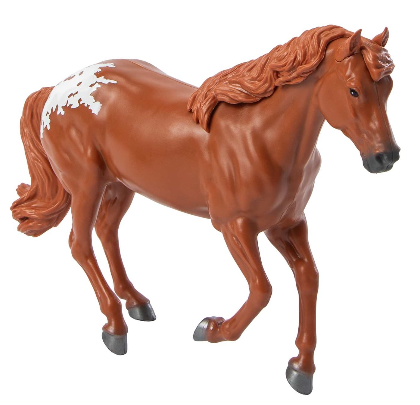 PP Latigo Loping Quarter Horse: Chestnut Appaloosa - Gingersnap ...